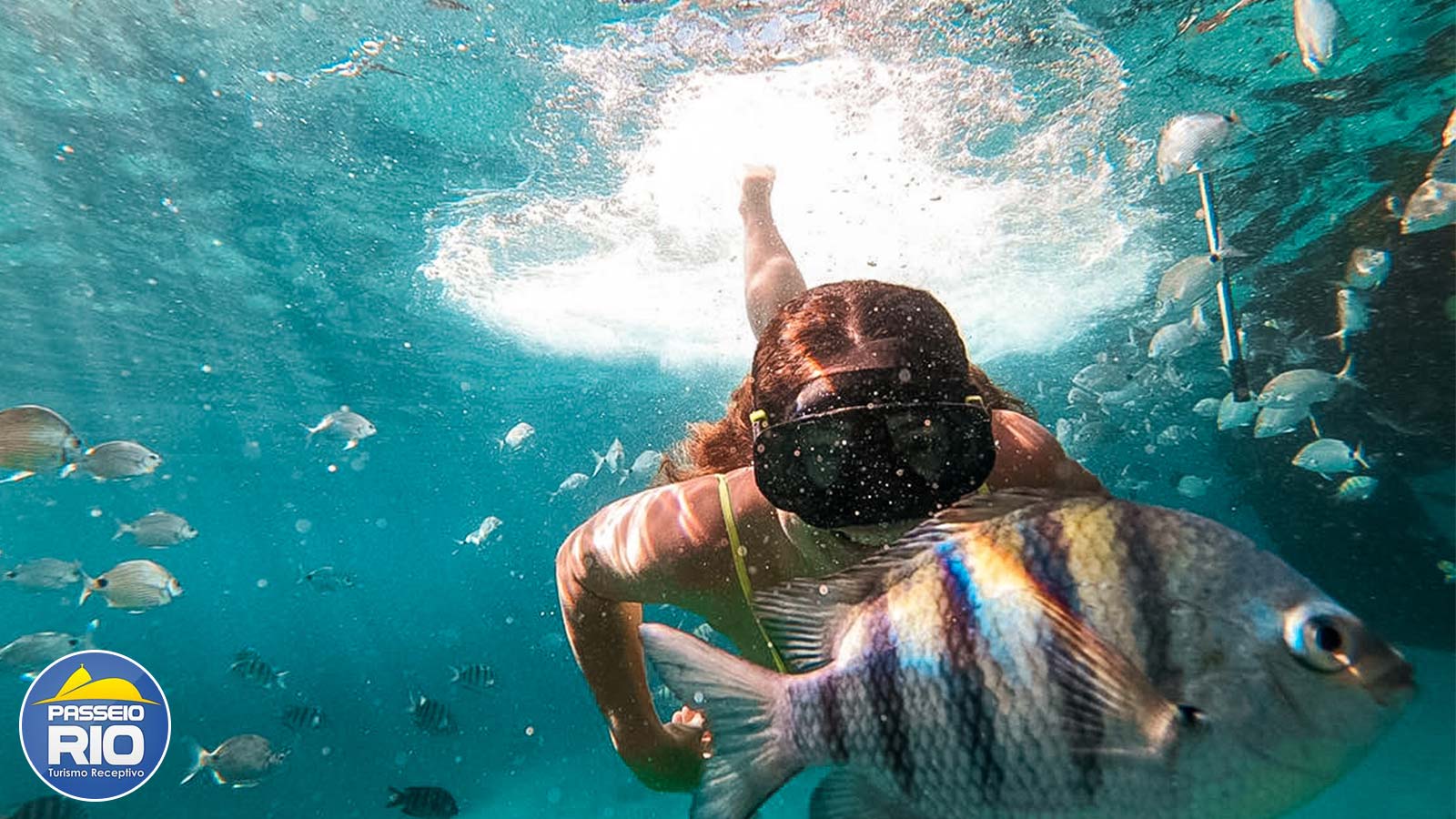 7 Dicas para mergulho em Angra dos Reis | Passeio Rio Turismo